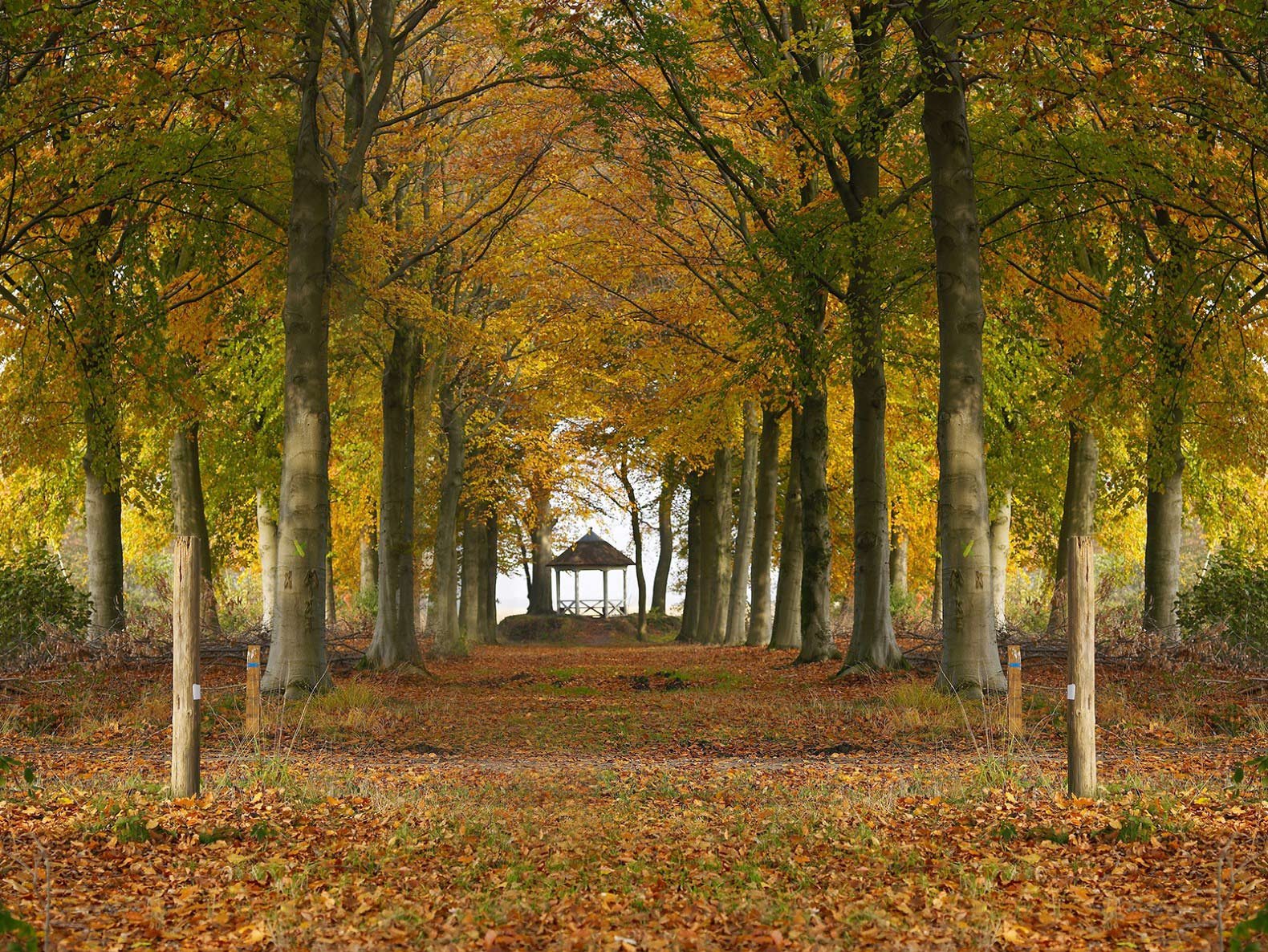 De Moerse Bossen in Zundert - Eet.nu