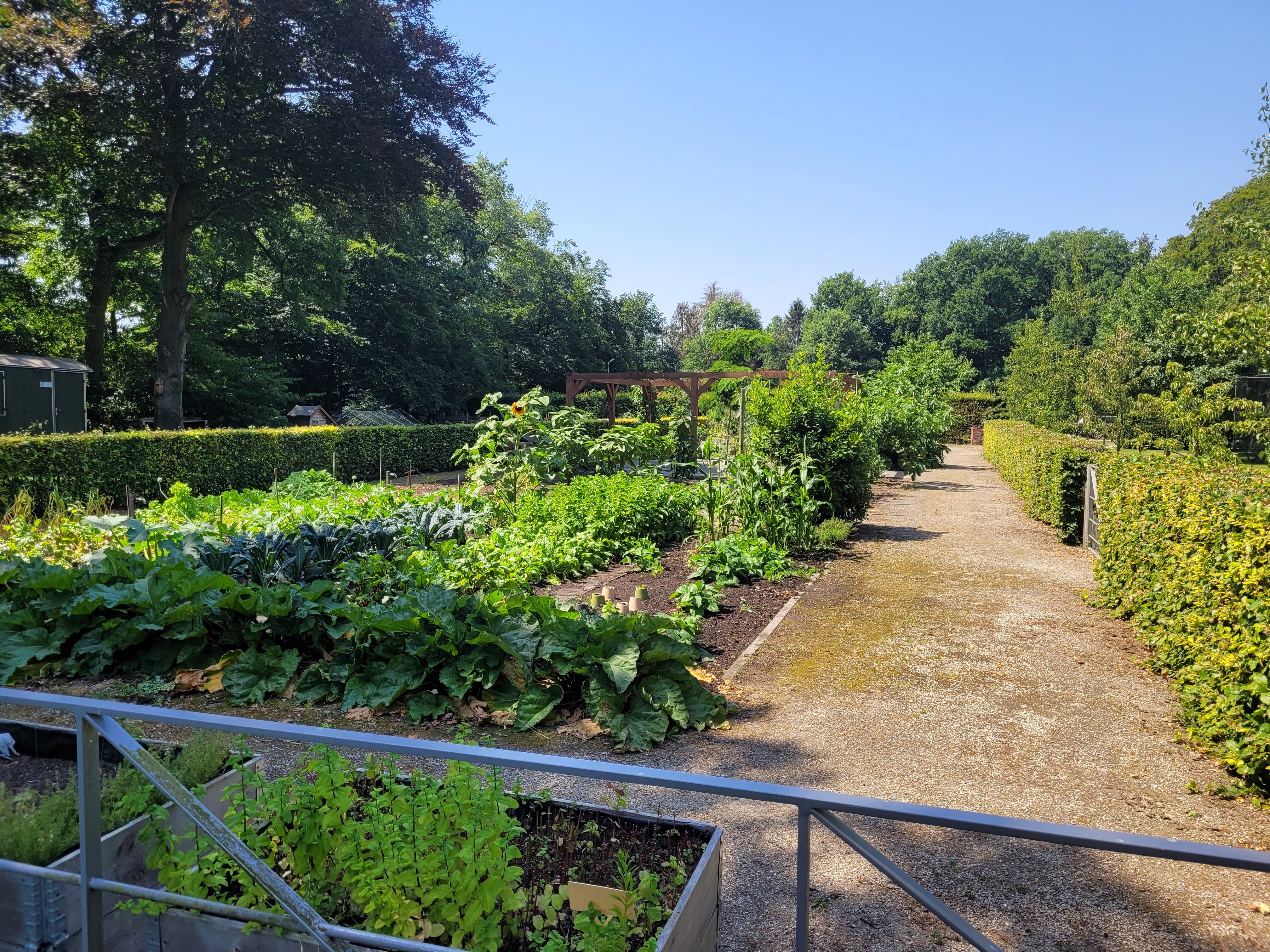 Beum in Dorst - Eet.nu