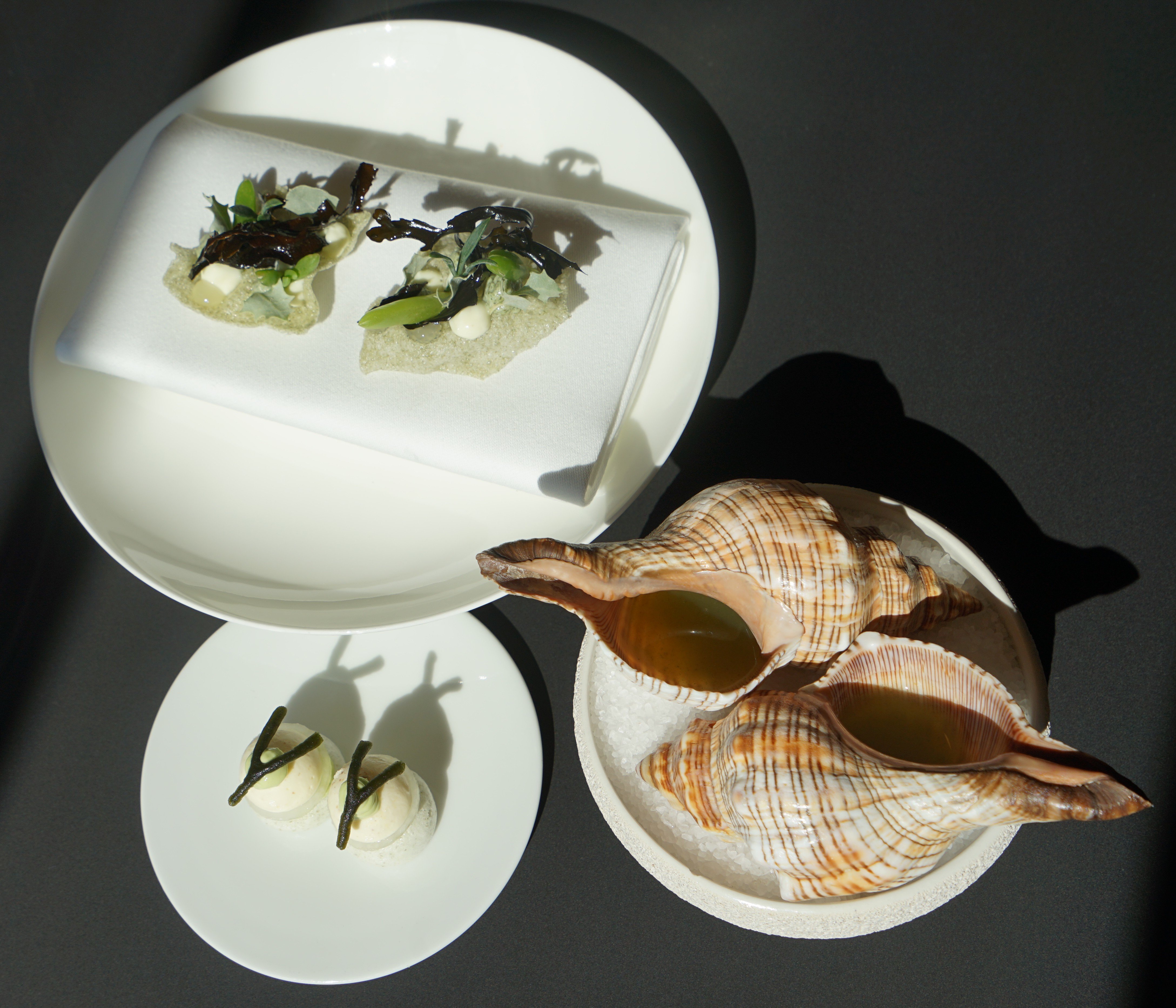 Codium in Goes - Eet.nu