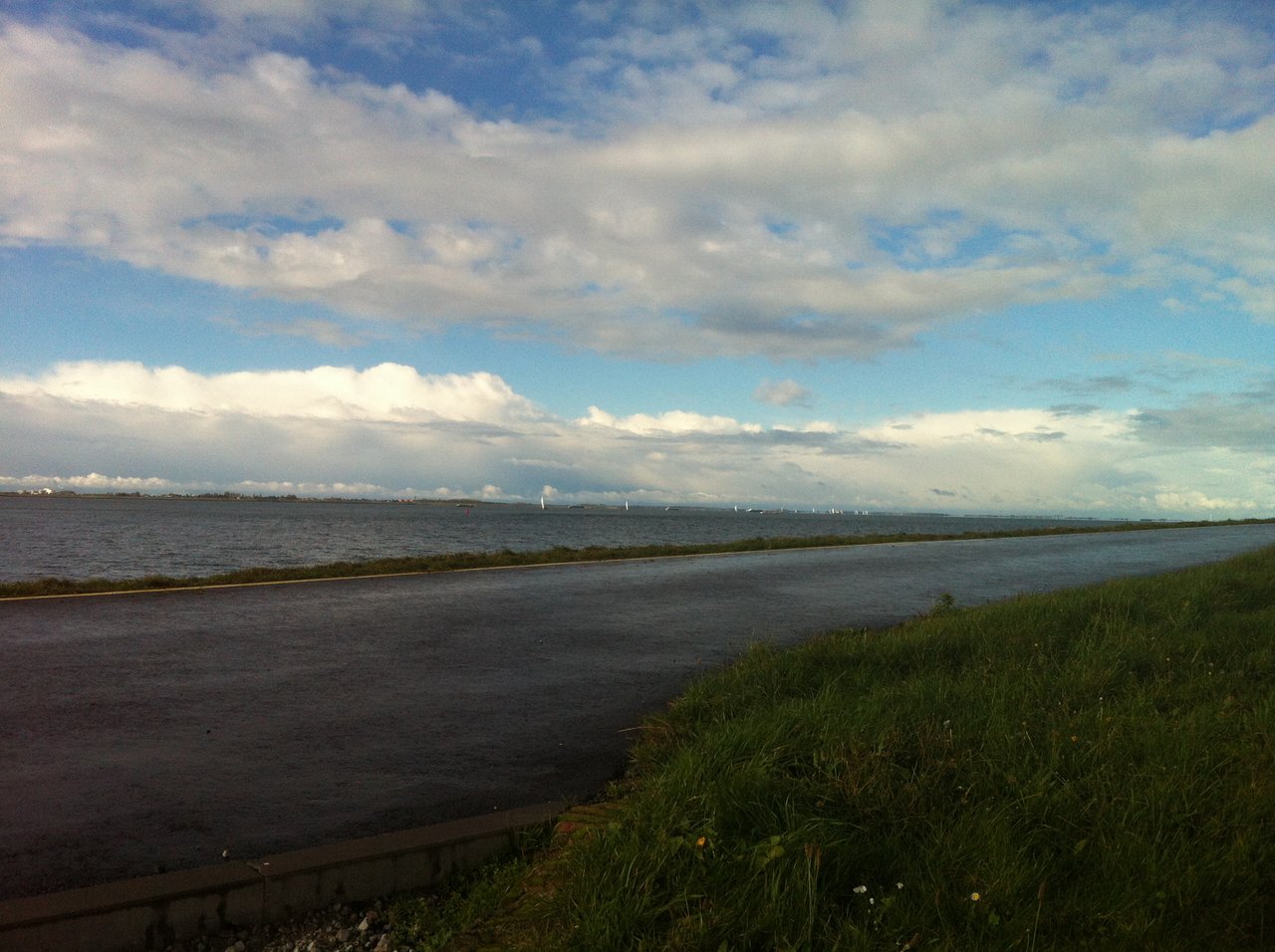 Brasserie De Zeester in Scherpenisse - Eet.nu