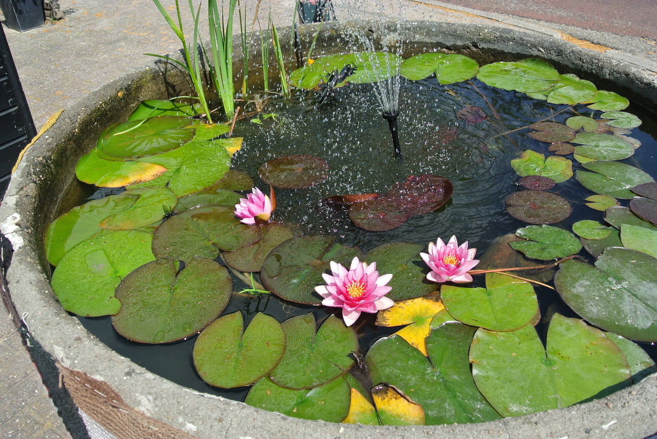 De Klipper in Zwiggelte - Eet.nu