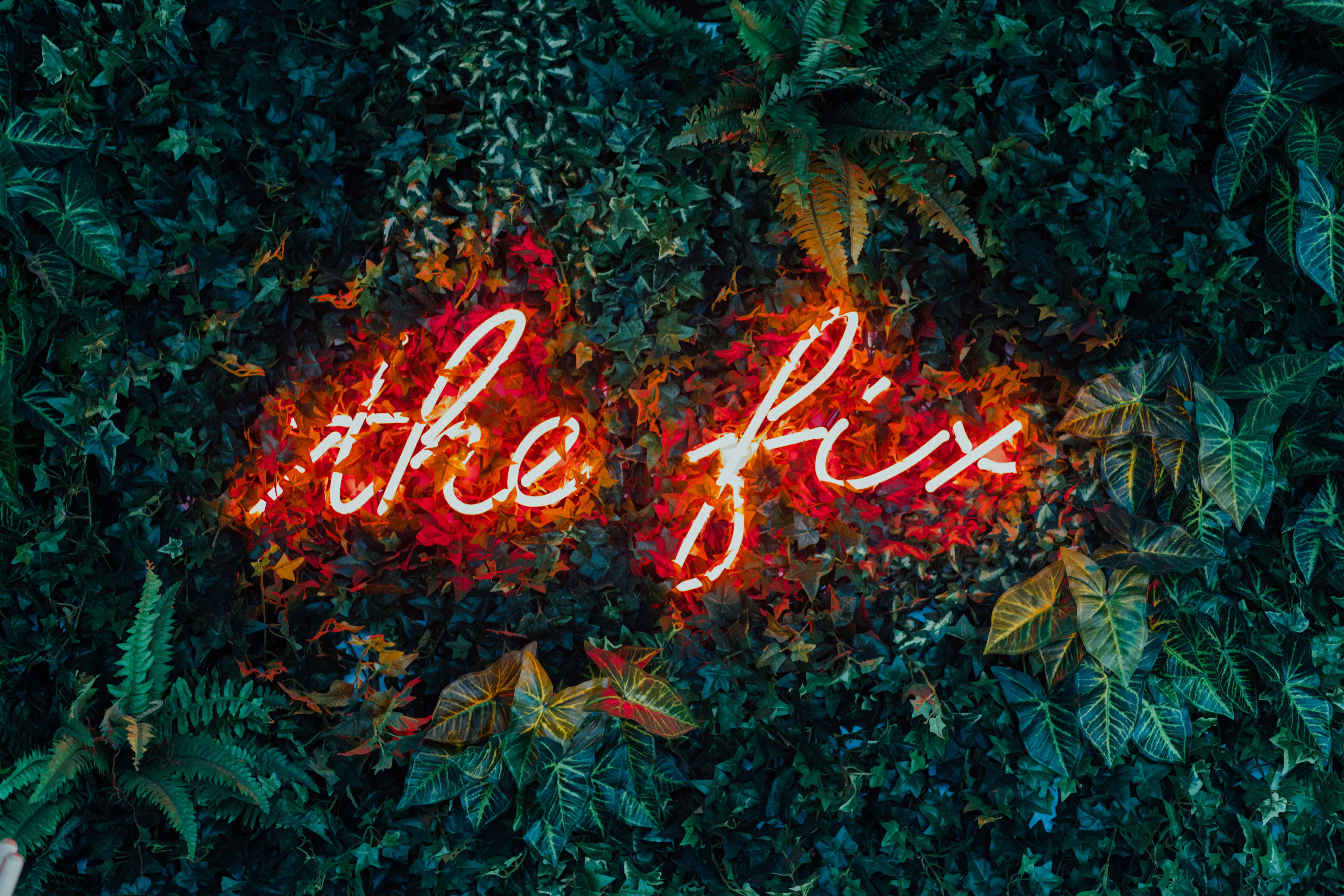 The Fix by Maiden in Amsterdam - Eet.nu