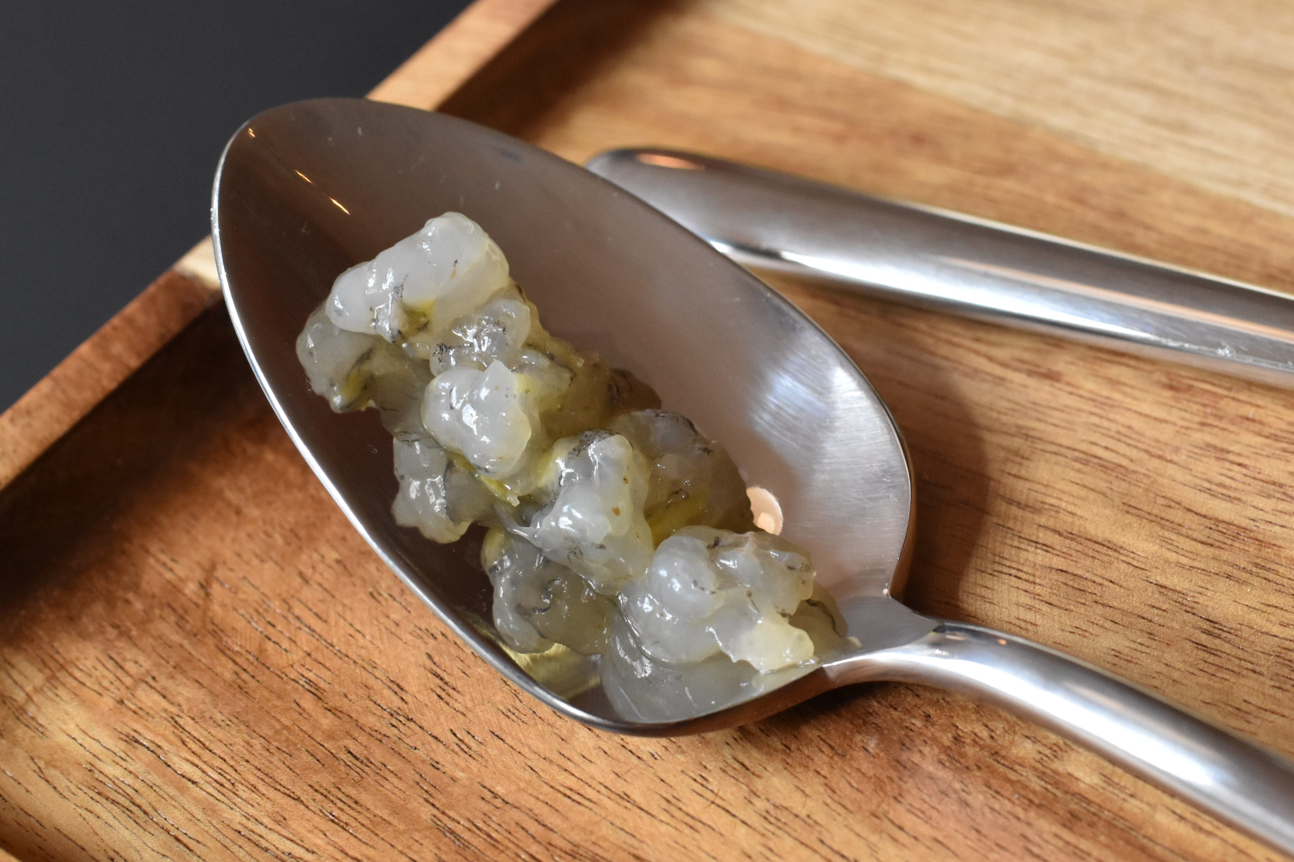 Codium in Goes - Eet.nu