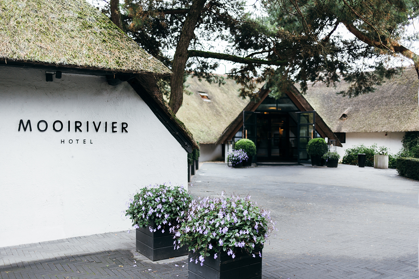 Aan de Oever bij Mooirivier in Dalfsen - Eet.nu