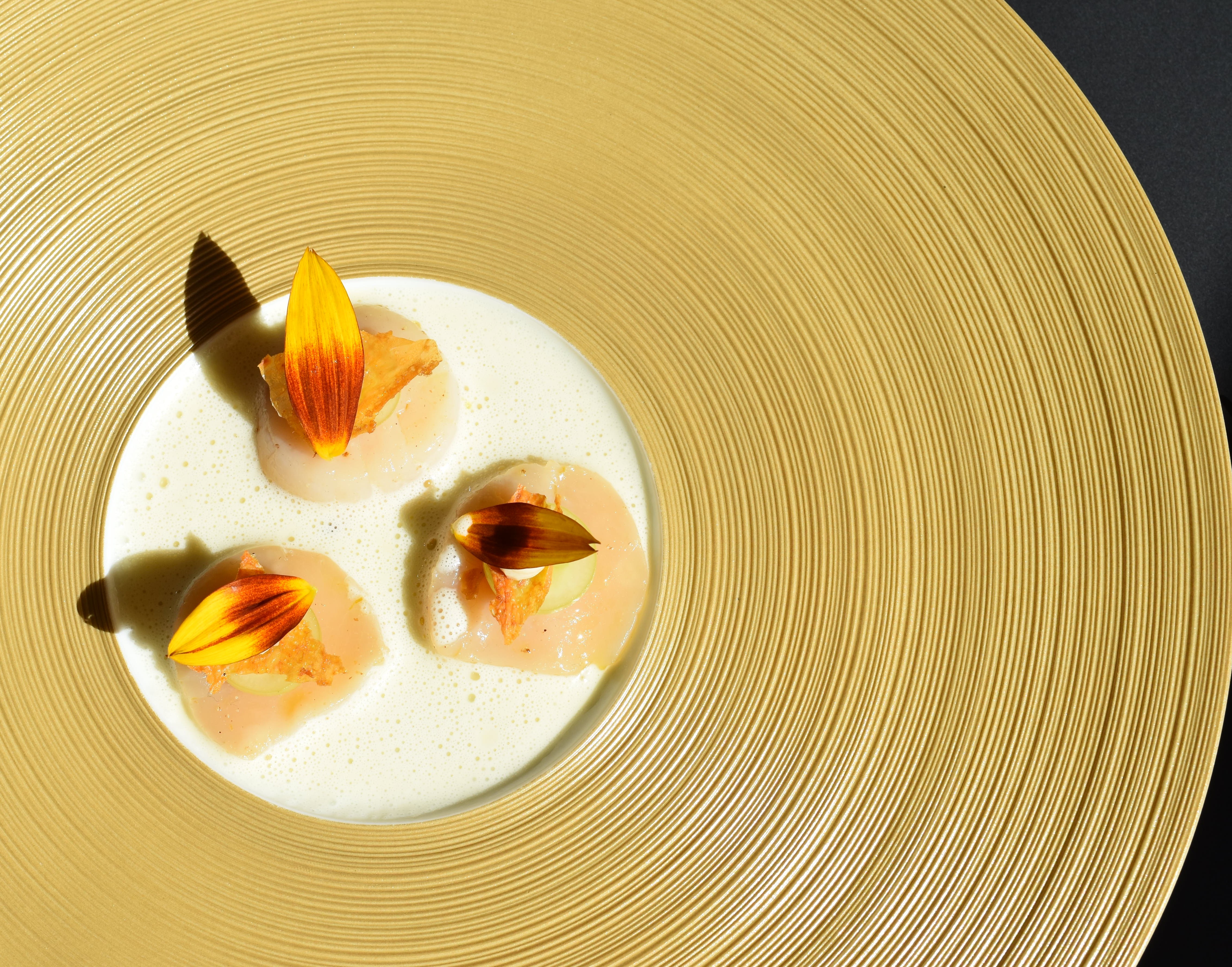 Codium in Goes - Eet.nu